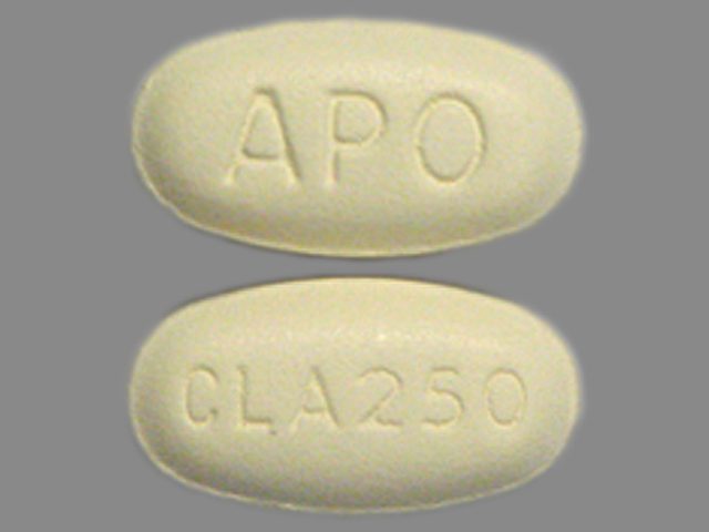 Pill Identifier Clarithromycin - NDC 60505-2616