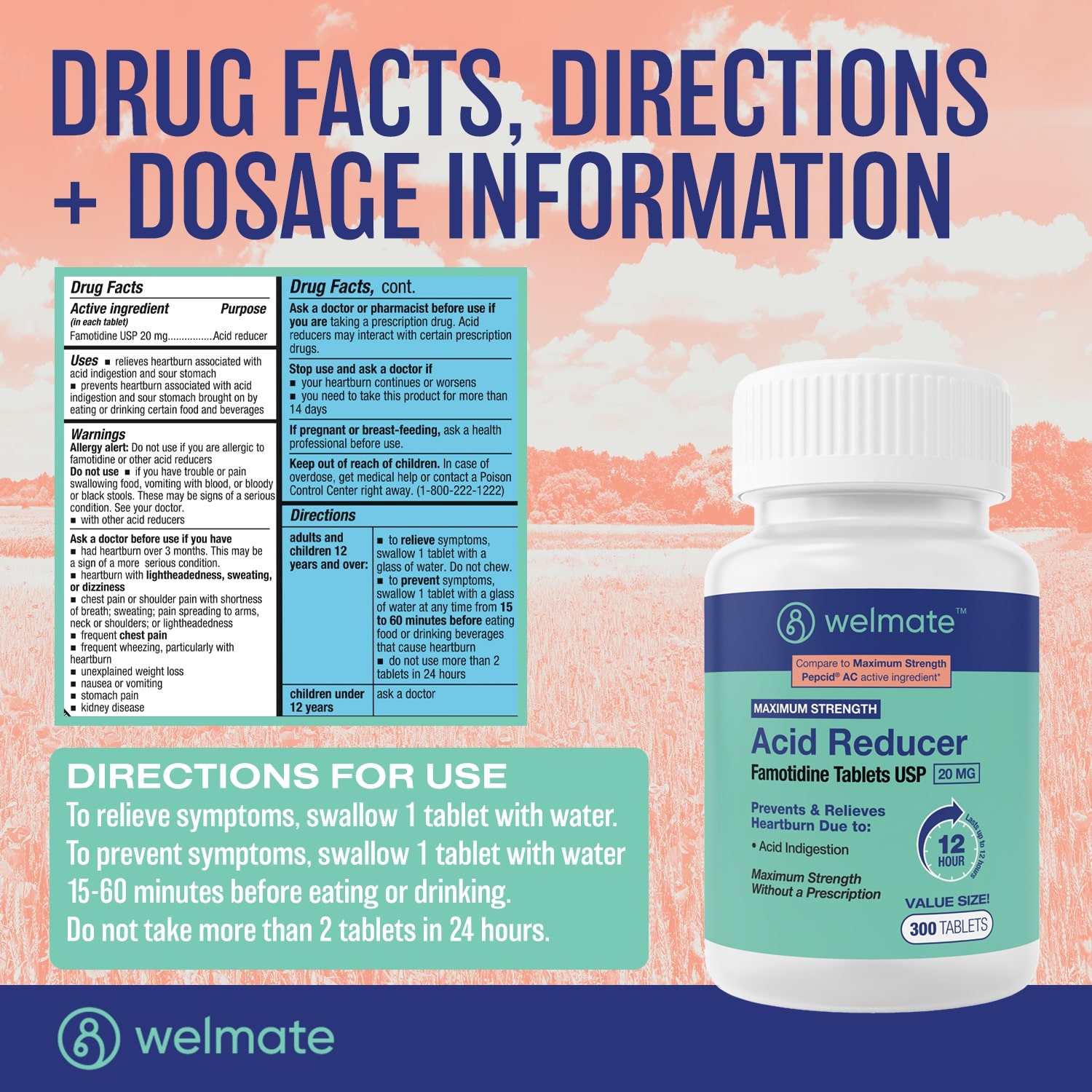 Welmate Famotidine 20mg Tablet- Images NDC73581-109