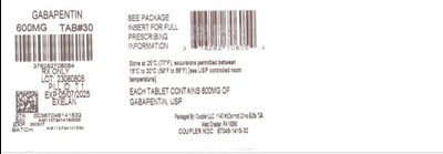 FDA Label for Gabapentin Tablet Oral - Indications, Usage & Precautions
