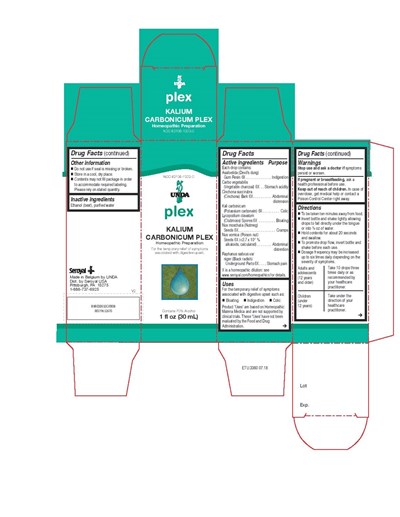 Product Images Kalium Carbonicum Plex Photos - Packaging, Labels ...