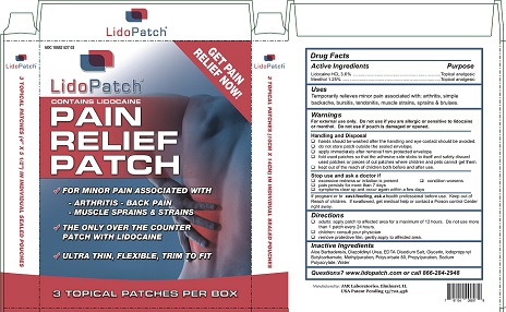 Label and Warnings 10882-527 Lidopatch Pain Relief