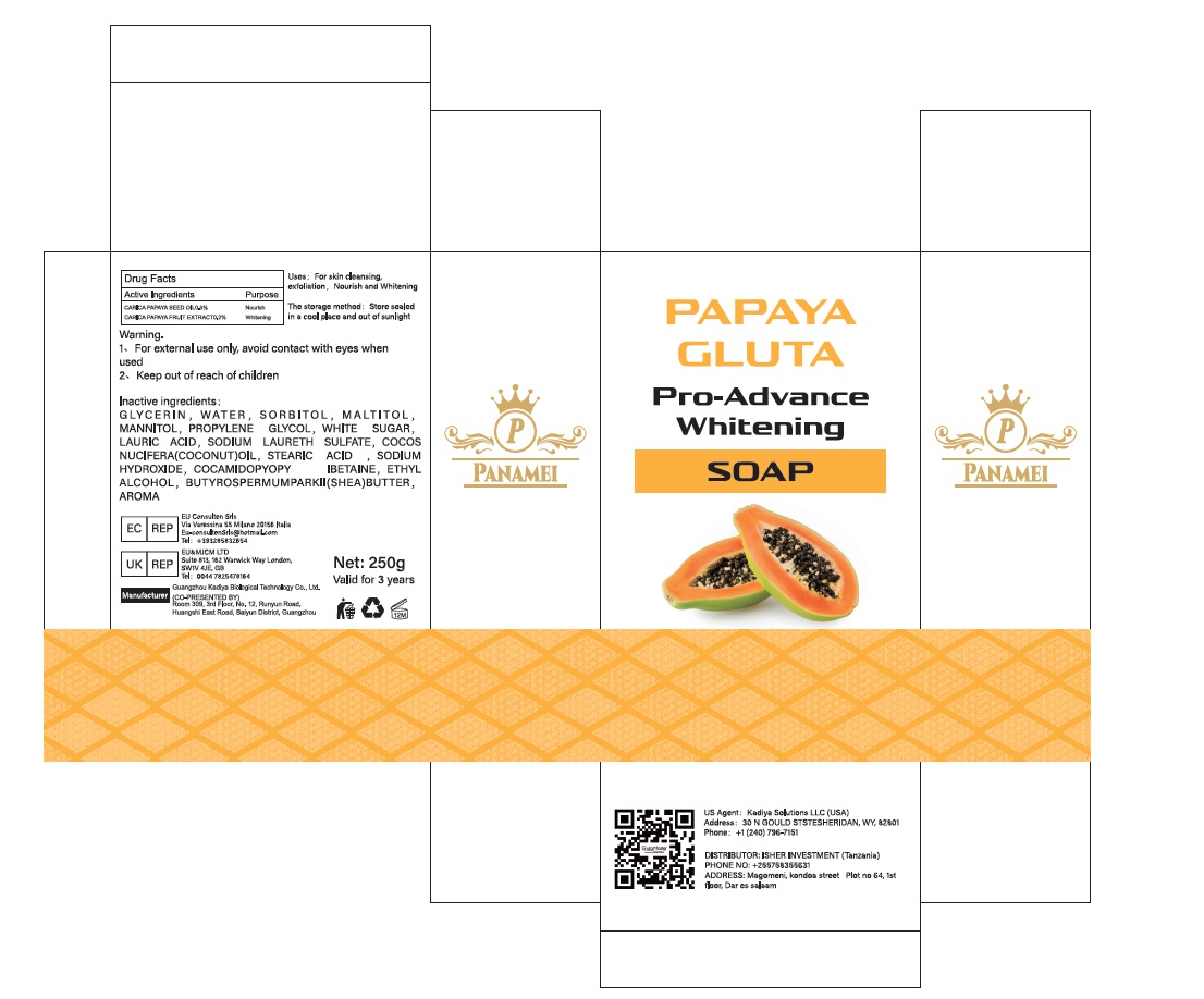 Product Images Papaya Glutasoap Photos - Packaging, Labels & Appearance