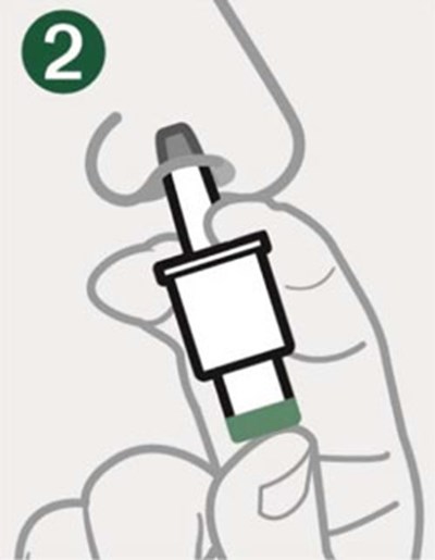 Product Images Baqsimi Photos - Packaging, Labels & Appearance