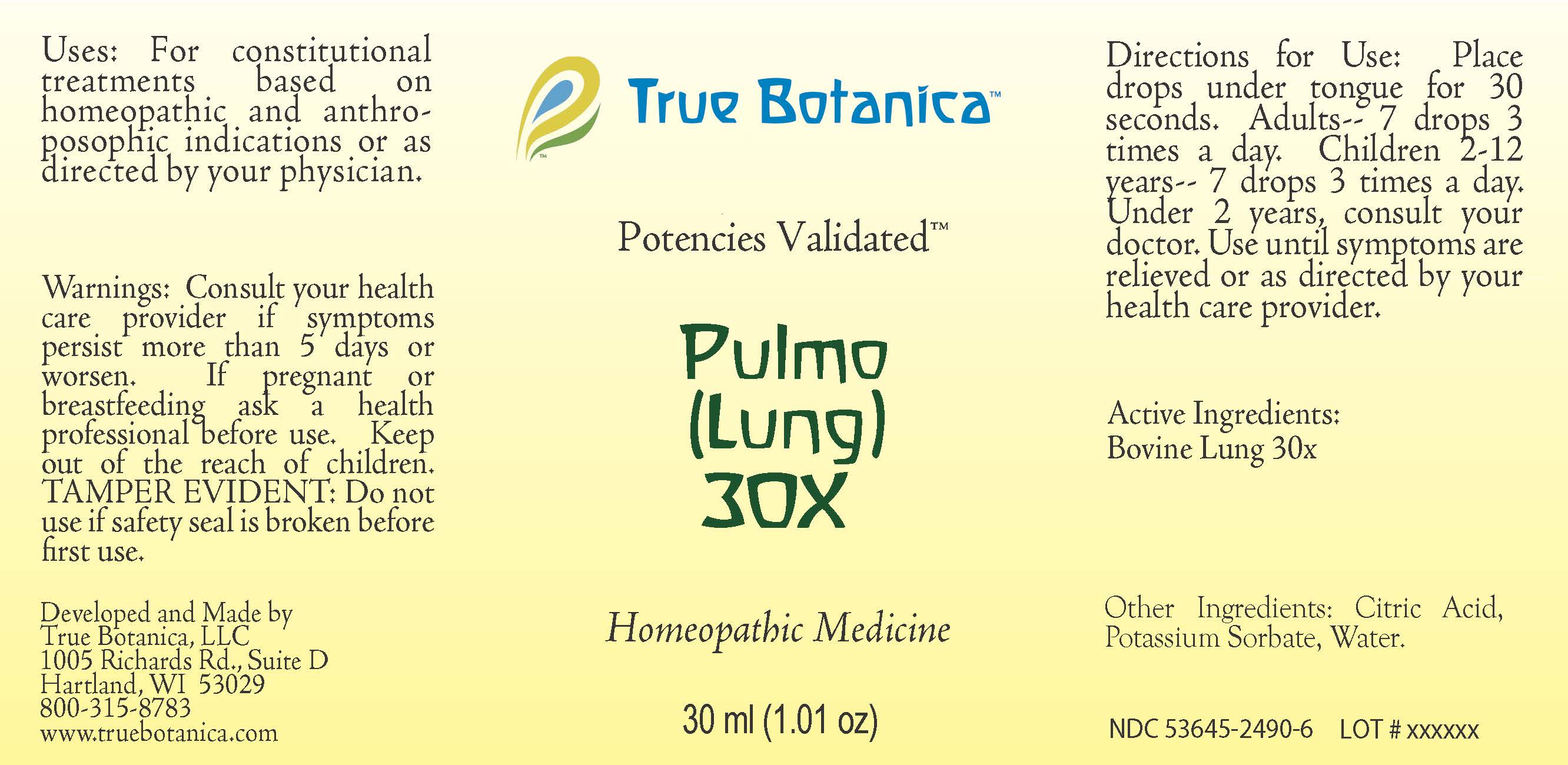Pulmo (lung) 30x Liquid Product Images - NDC 53645-2490