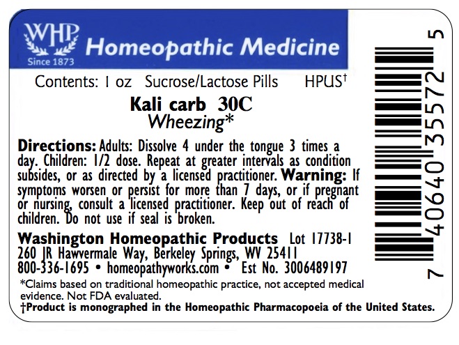 NDC 68428-451 Kali Carbonicum Pellet Oral Label Information - Details ...