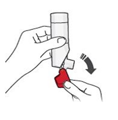 Proair Digihaler Inhalant FDA Label - NDC 59310-117