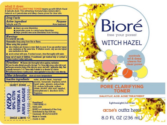 NDC 10596-187 Biore Witch Hazel Pore Clarifying Toner Liquid Topical