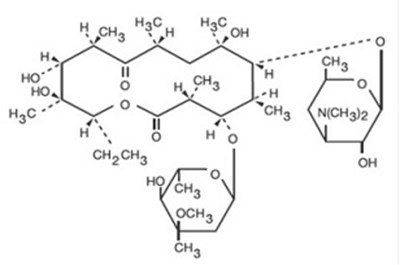 FDA Label for Erythromycin Tablet, Film Coated Oral - Indications ...