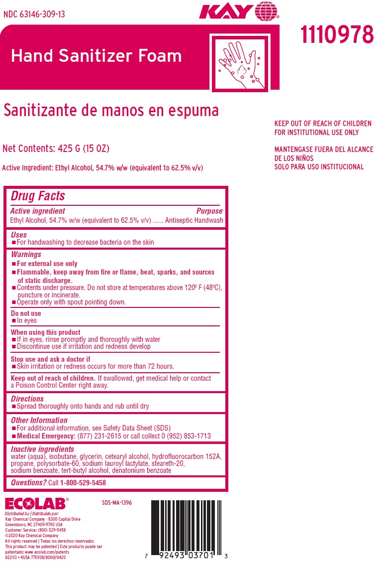 NDC 63146-309 Kay Chemical Hand Sanitizer Foam Solution Topical