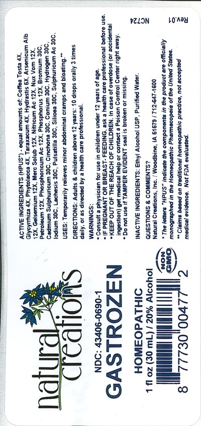FDA Label for Gastrozen Liquid Oral - Indications, Usage & Precautions