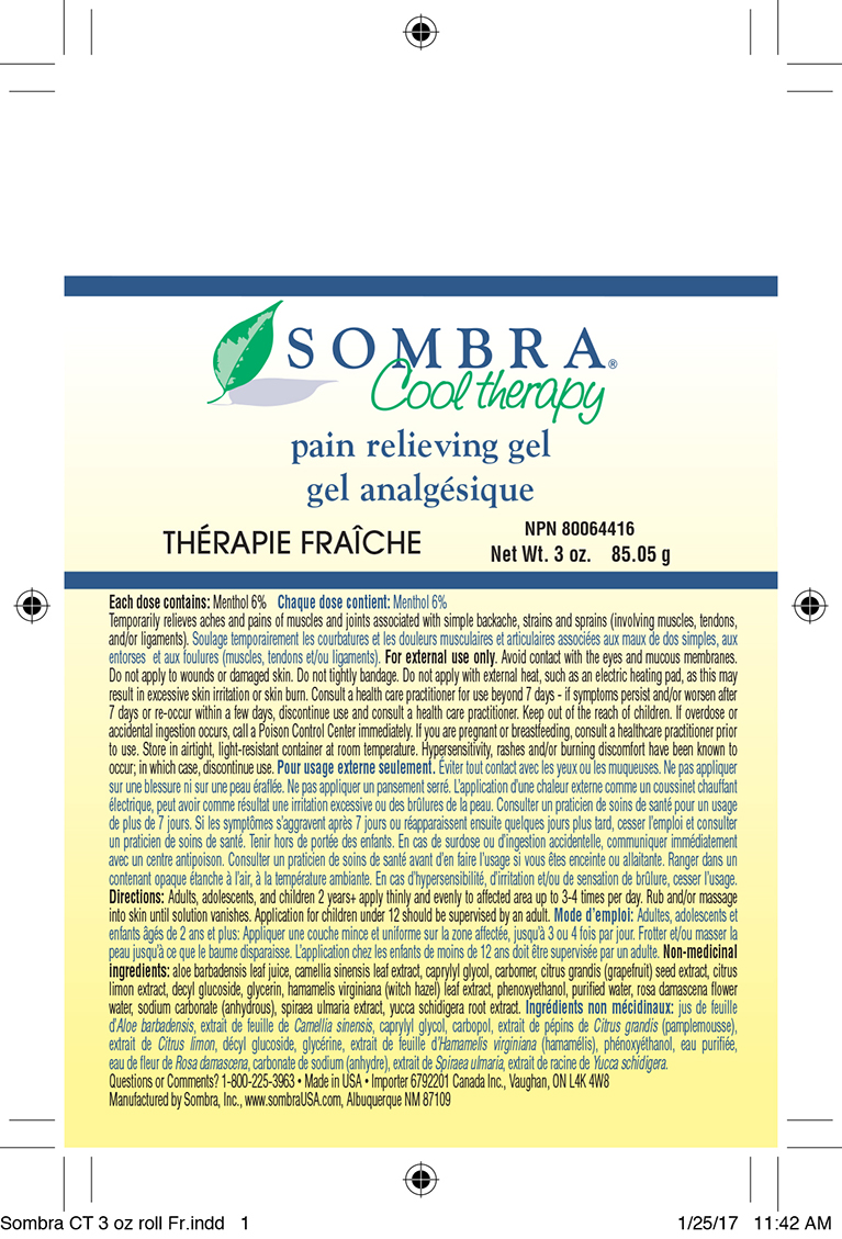 NDC 61577-4030 Sombra Cool Therapy Gel Topical
