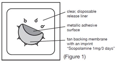 FDA Label for Scopolamine Patch, Extended Release Transdermal ...