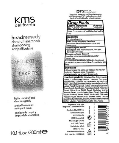 FDA Label for Head Remedy - Indications, Usage & Precautions