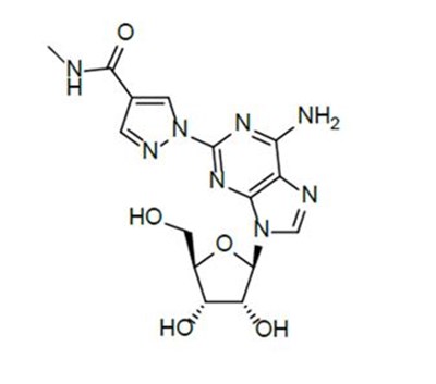 FDA Label for Regadenoson Injection, Solution Intravenous - Indications ...