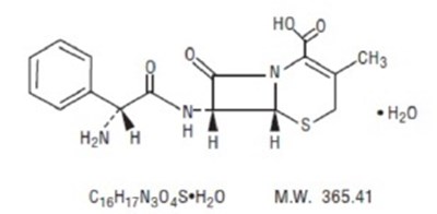 FDA Label for Cephalexin For Suspension Oral - Indications, Usage ...