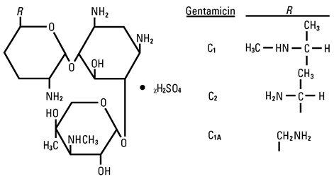 NDC 0409-1207 Gentamicin Sulfate Gentamicin Sulfate
