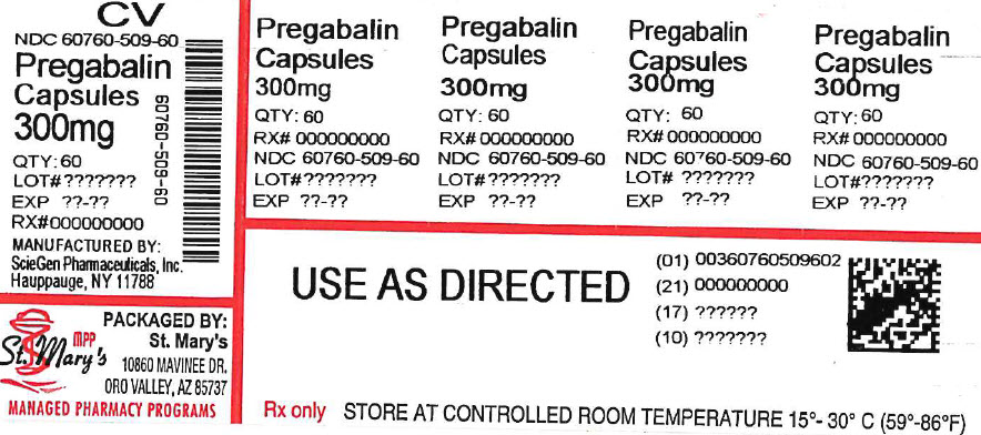 NDC 60760-509 Pregabalin Capsule Oral Label Information - Details ...