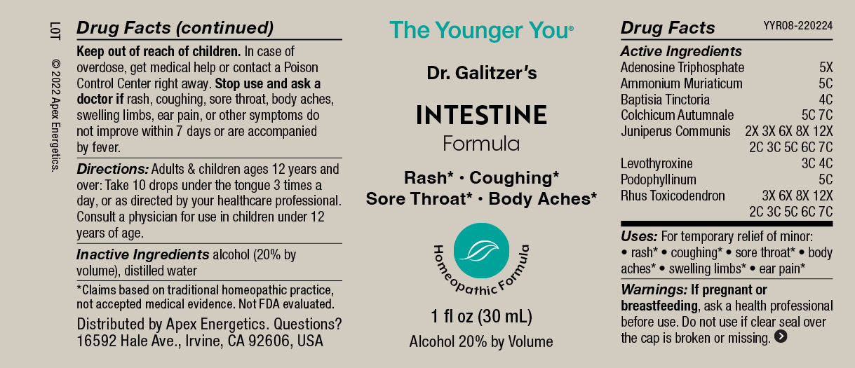 Intestine Formula Solution/ Drops- Images NDC63479-2508