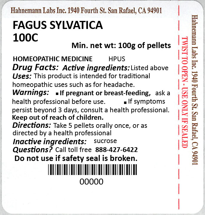 Product Images Fagus Sylvatica Photos - Packaging, Labels & Appearance