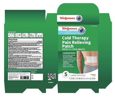 Product Images Walgreens Cold Therapy Pain Relief Patch Photos ...