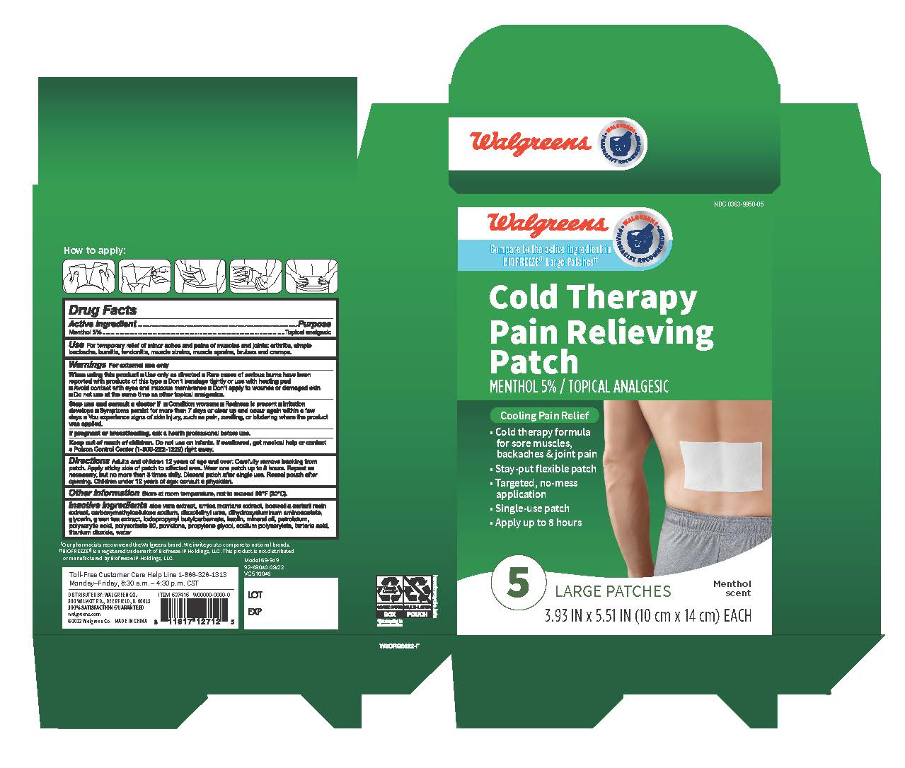 NDC to RxNorm Crosswalk 0363-9950 Walgreens Cold Therapy Pain Relief ...
