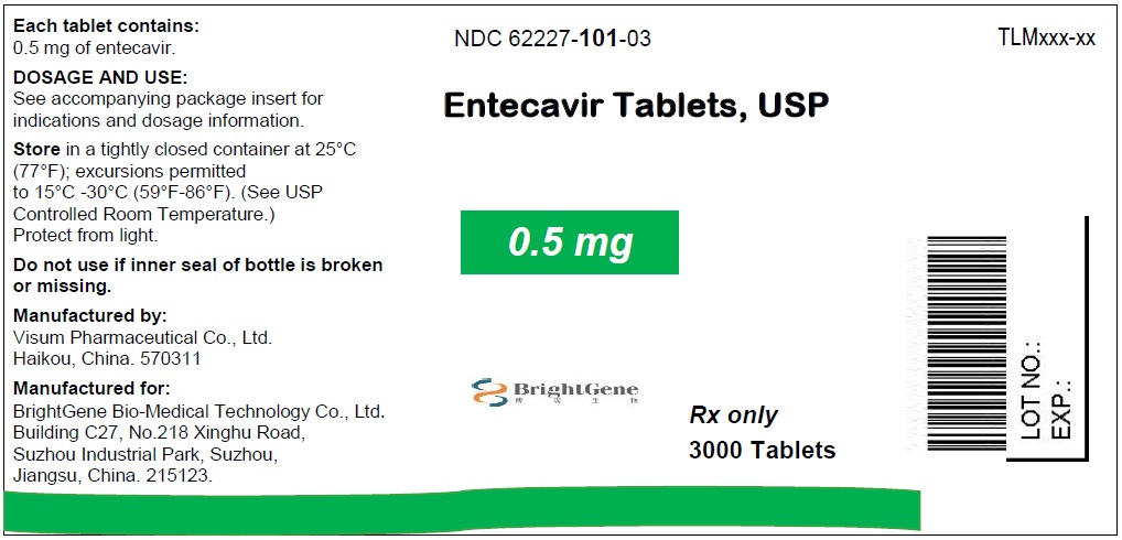 NDC 62227-101 Entecavir Entecavir