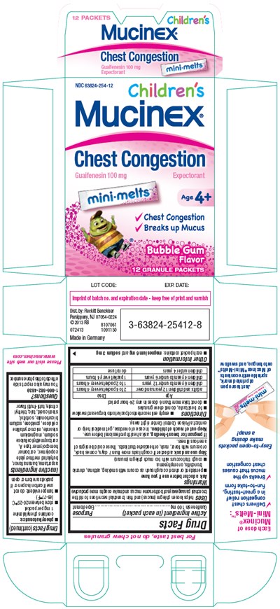 NDC 63824-254 Childrens Mucinex Mini-melts Chest Congestion